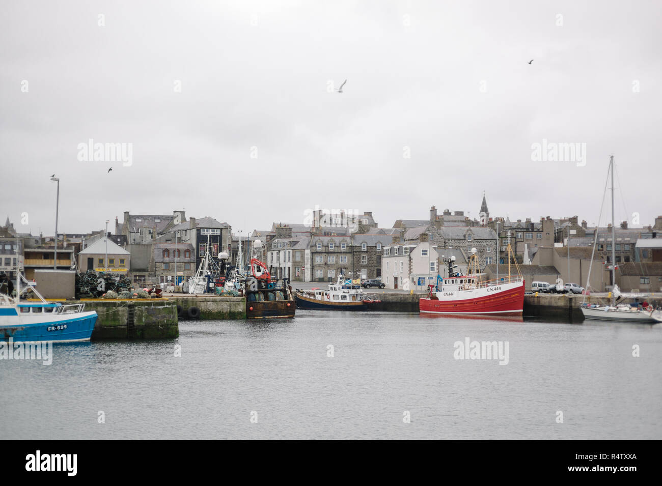 Cod white fleet hi-res stock photography and images - Alamy