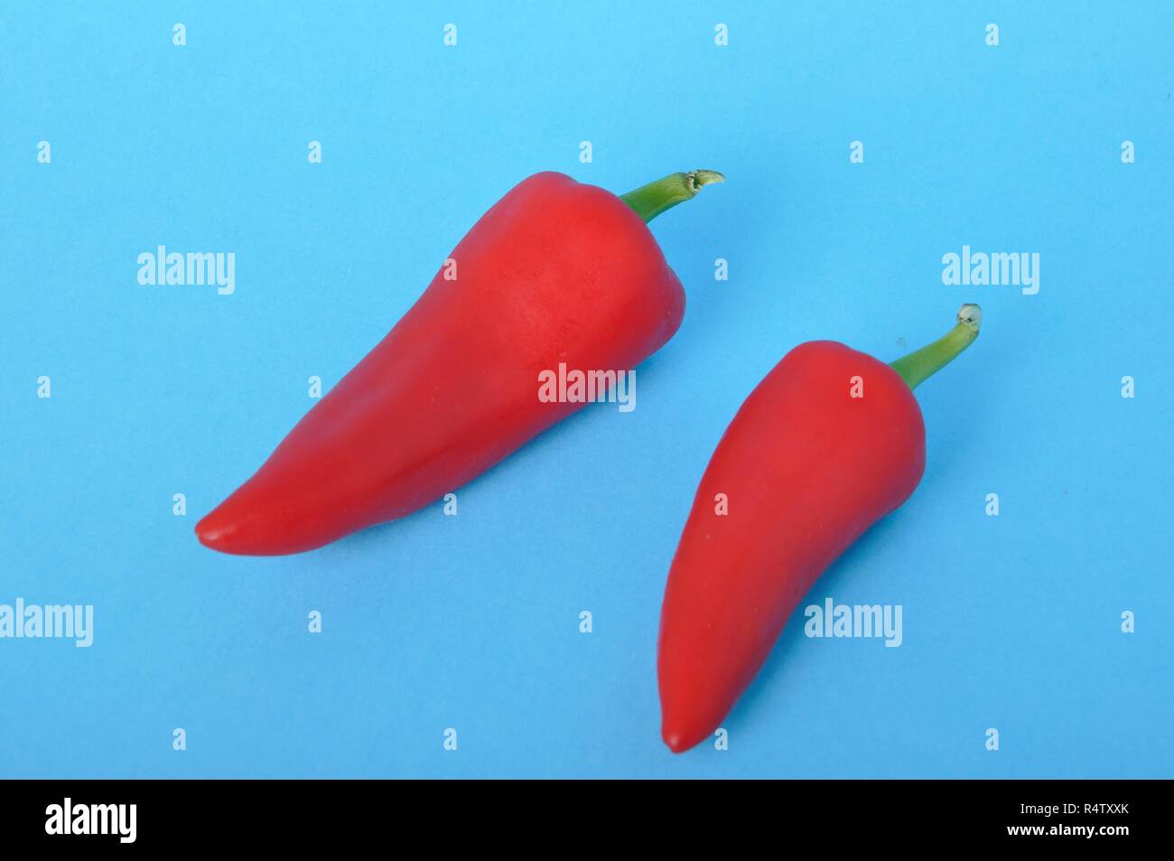 Two red long pepper on blue bacground Stock Photo - Alamy