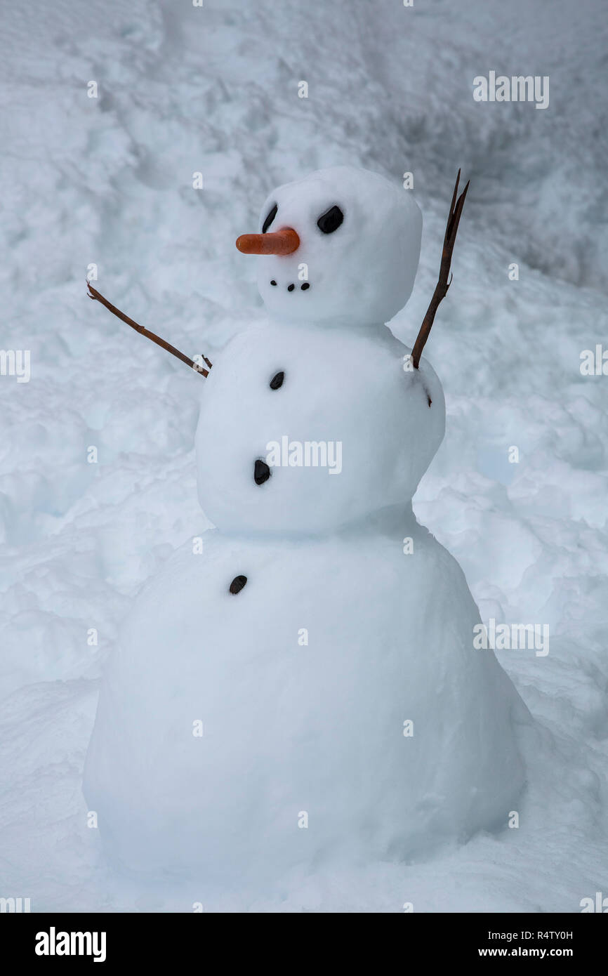 Snowman with branch arms Stock Photo - Alamy