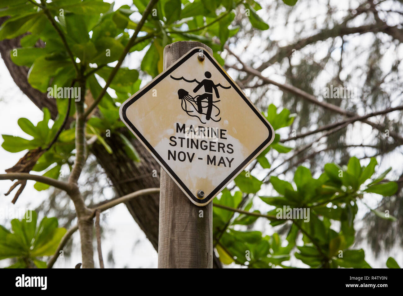Jellyfish warning sign Stock Photo - Alamy