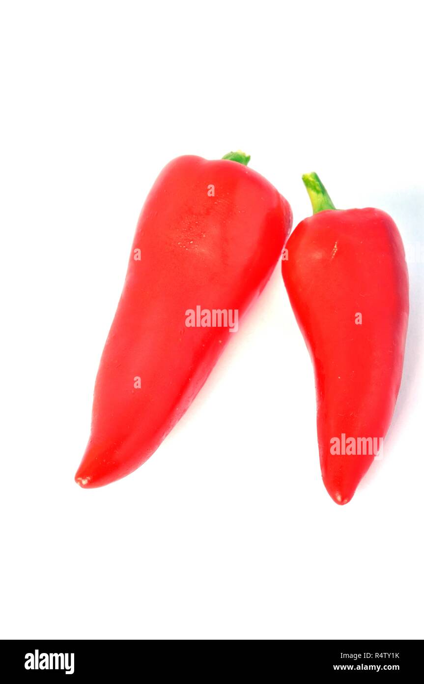 Red long pepper on white bacground Stock Photo - Alamy