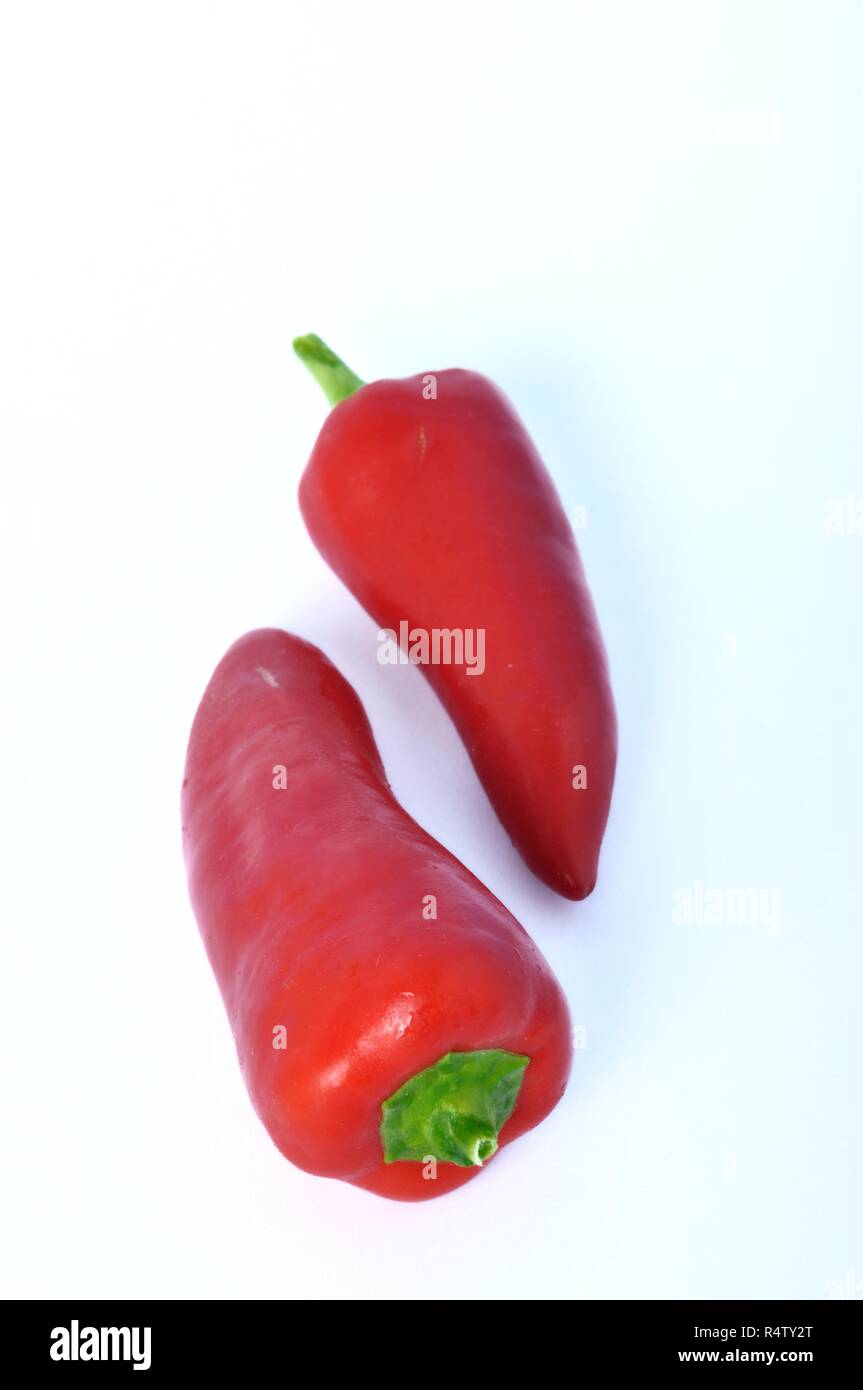 Red long pepper on white bacground Stock Photo - Alamy