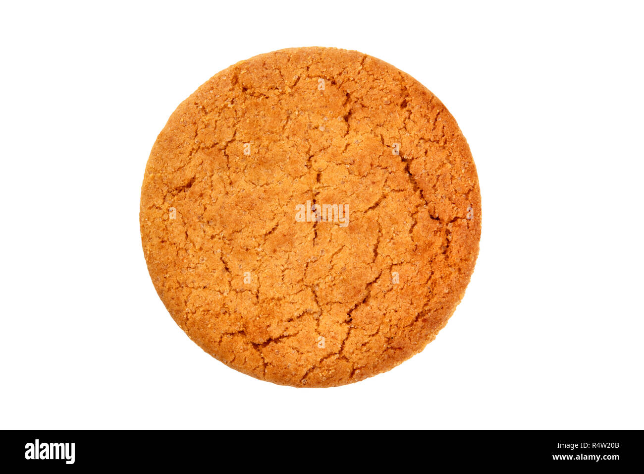 An overhead photo of a single ginger cookie, isolated on a white ...
