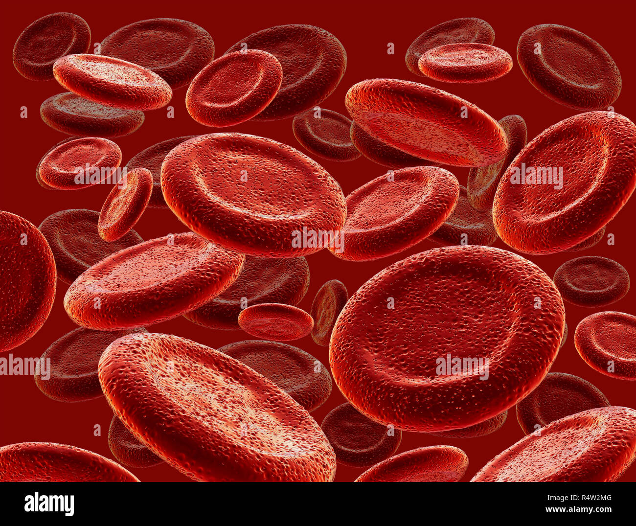 Human erythrocytes hi-res stock photography and images - Alamy