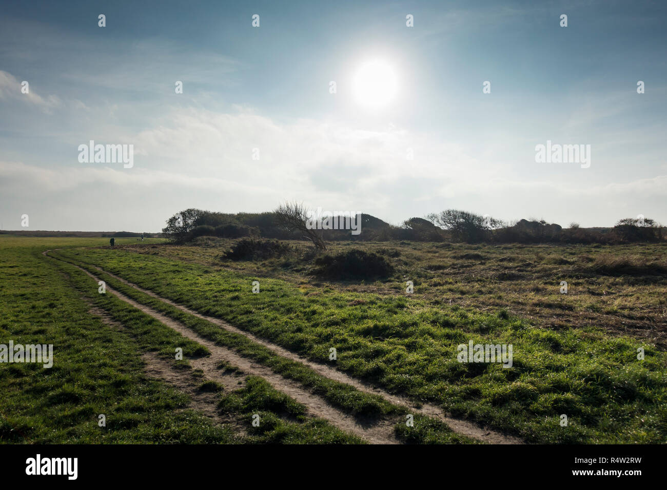 Morning autumn sun hi-res stock photography and images - Alamy