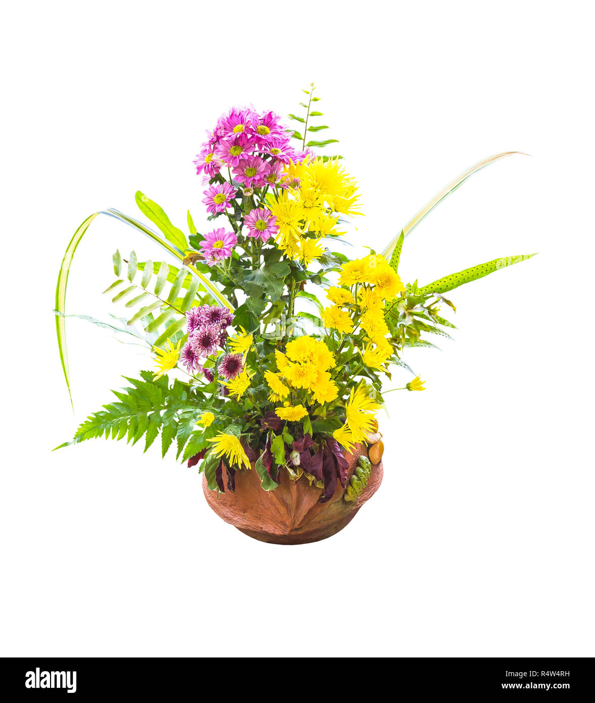 Beautiful flower in vase isolated Stock Photo - Alamy