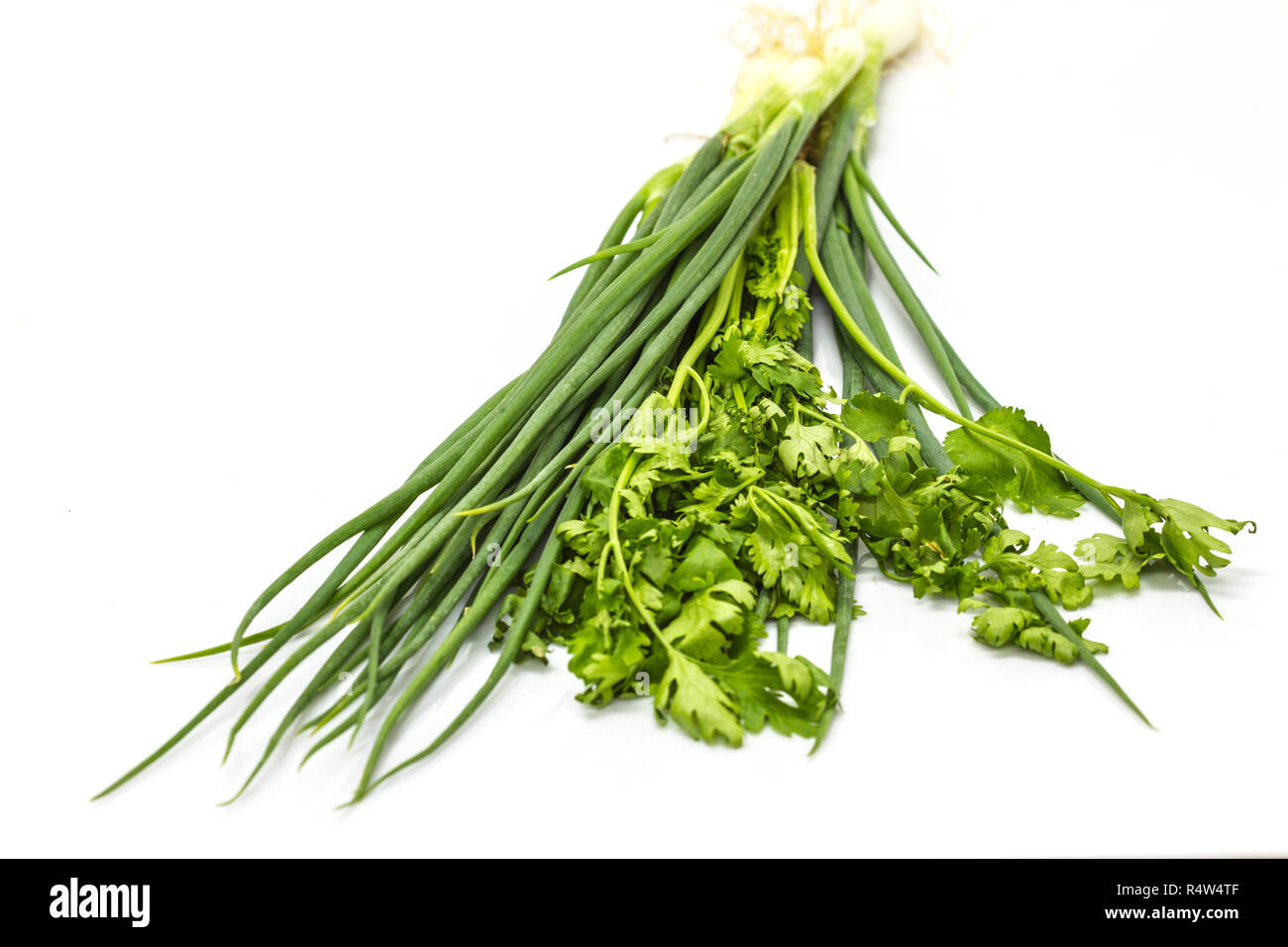 Onion grass Cut Out Stock Images & Pictures - Alamy