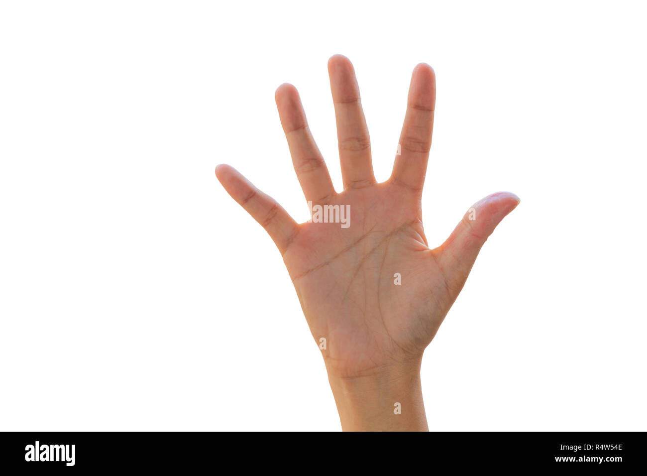woman hands on white background Stock Photo - Alamy