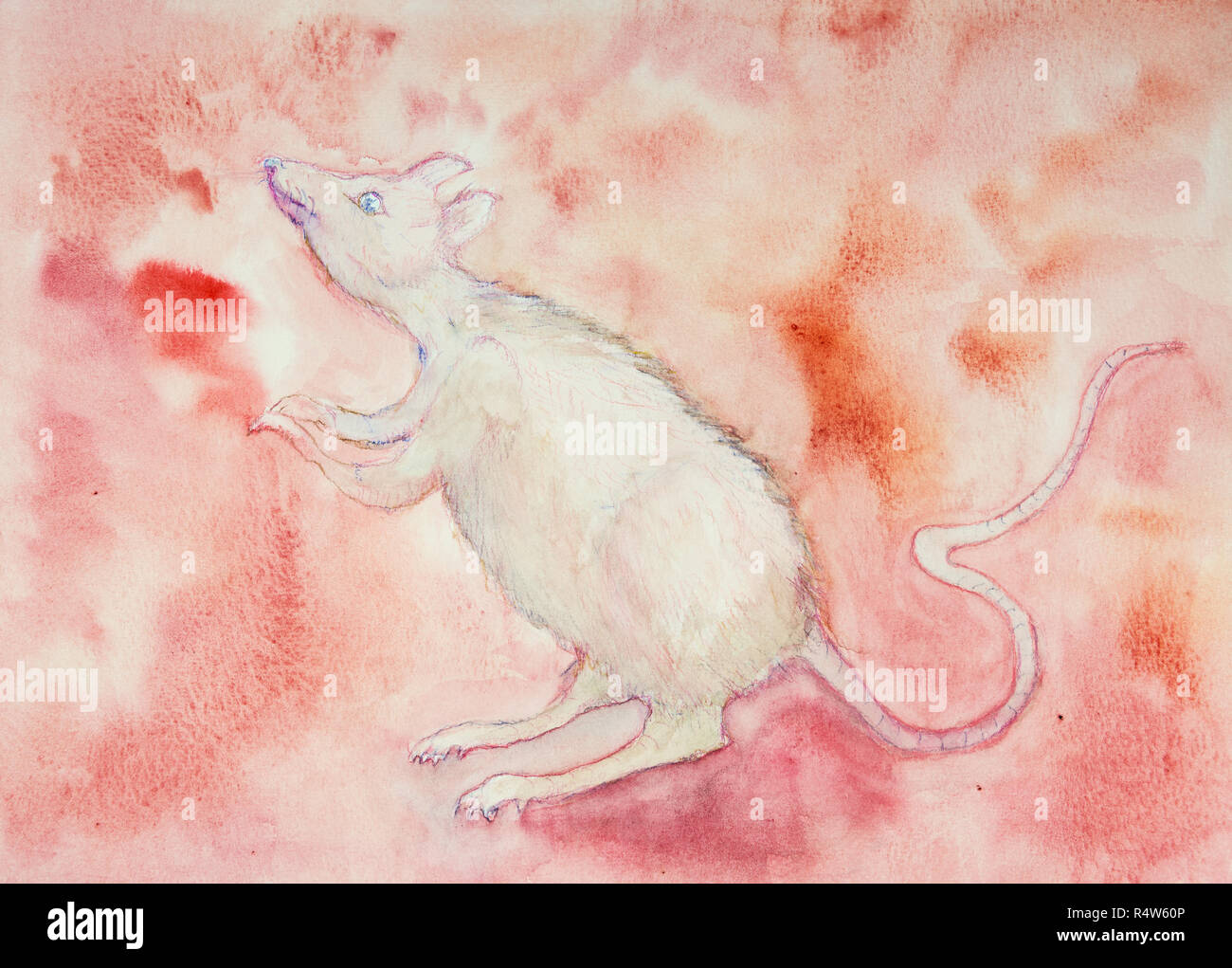 Year of the rat, Chinese New Year, zodiac. The dabbing technique near ...