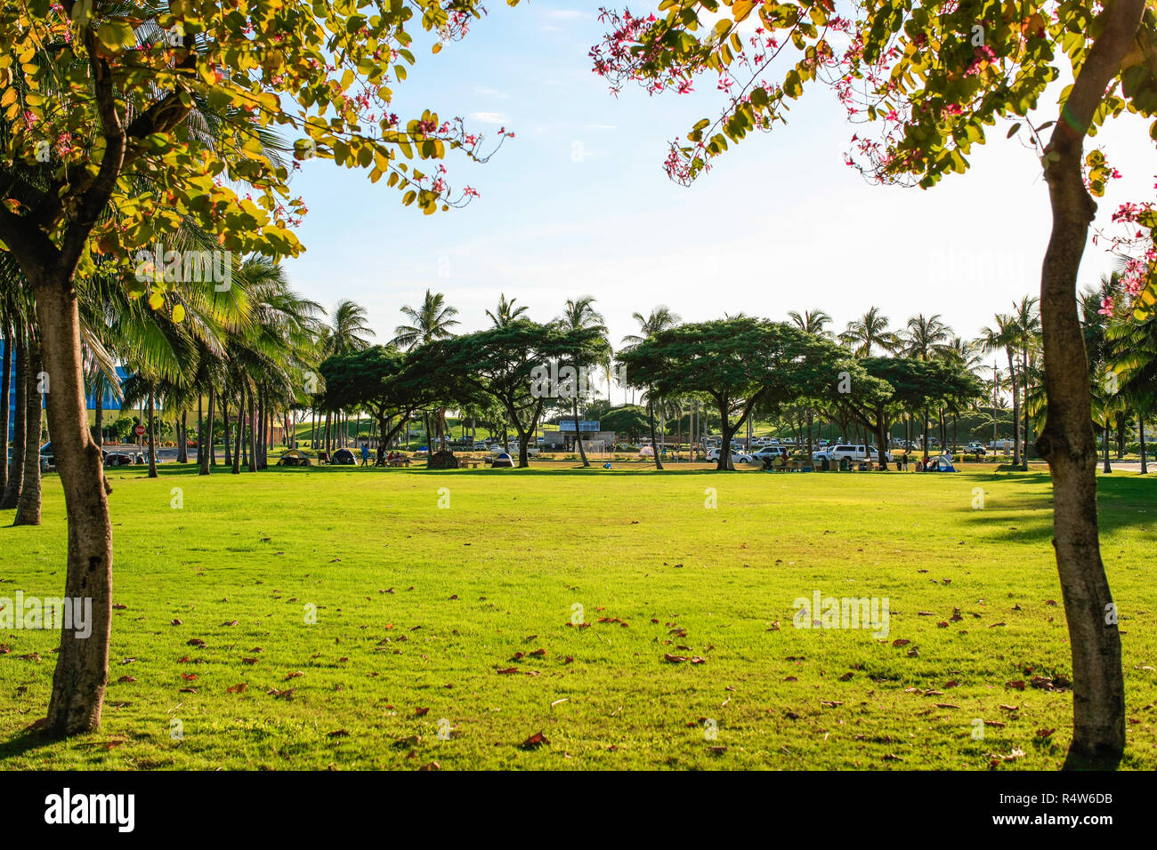 Honolulu landscape hi-res stock photography and images - Alamy