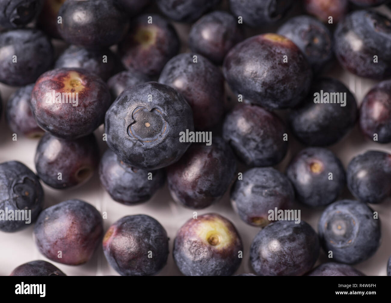 Delicious organic ripe blueberry, close up and background Stock Photo ...