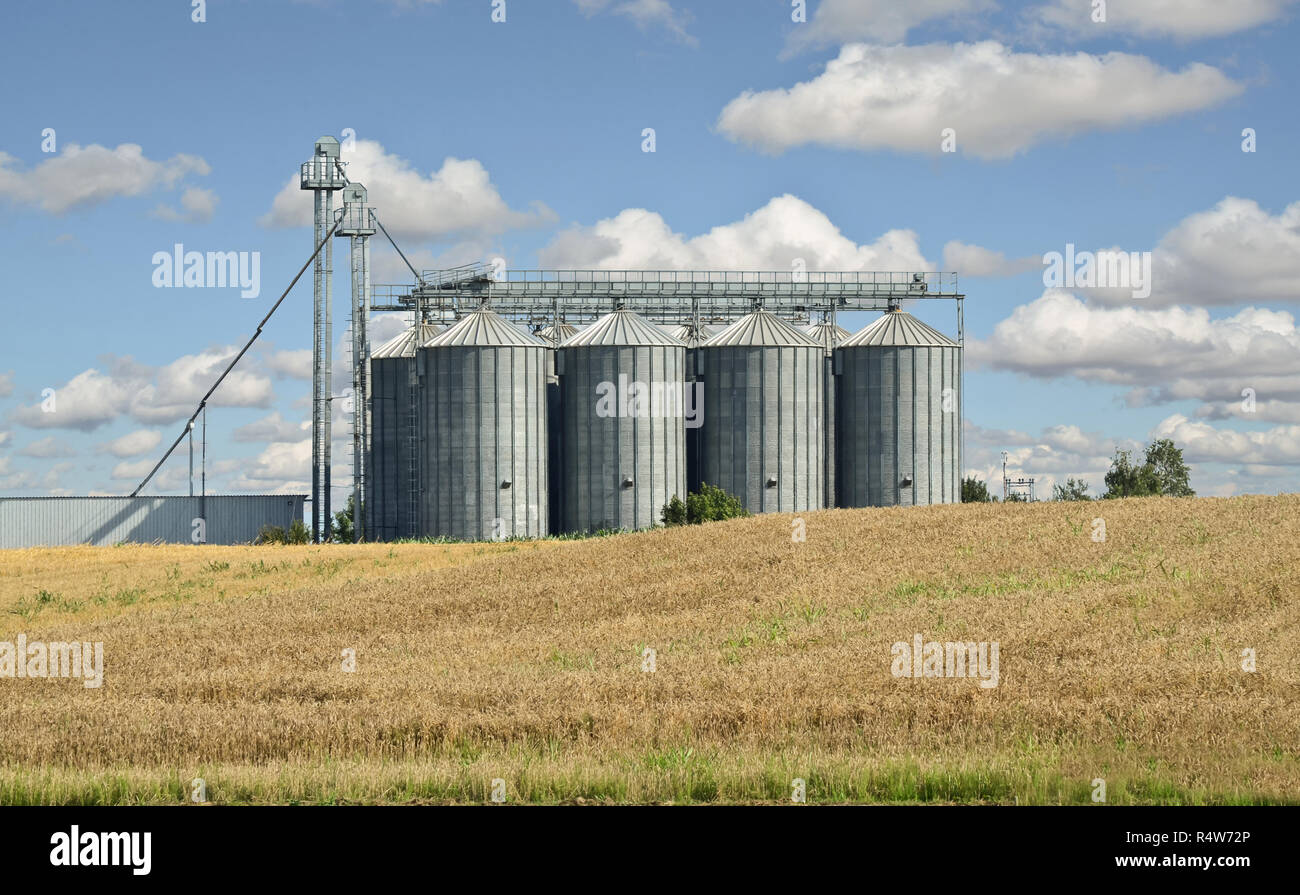 Wheat field and silo Stock Photo - Alamy