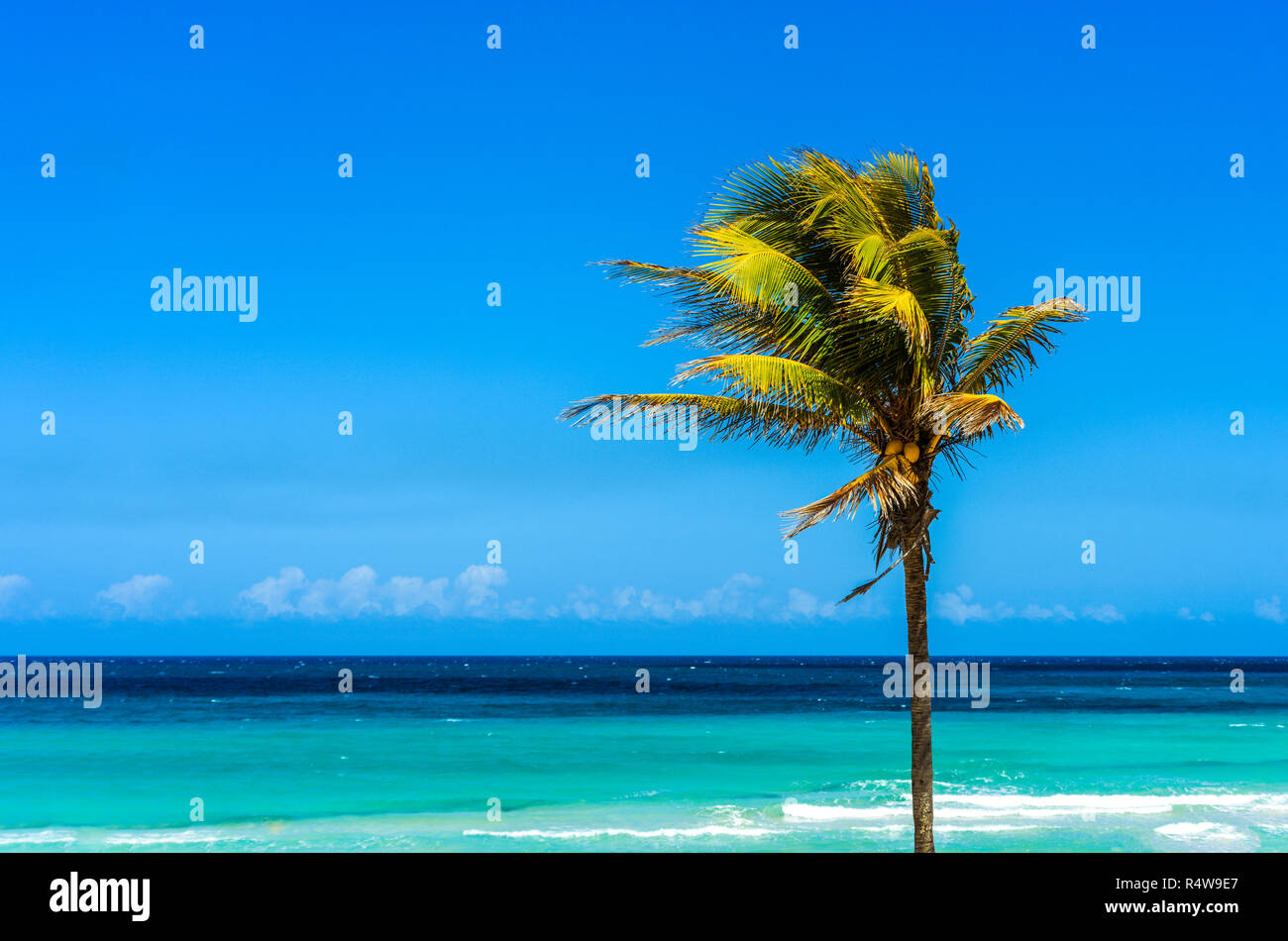 Havana beach honduras hi-res stock photography and images - Alamy