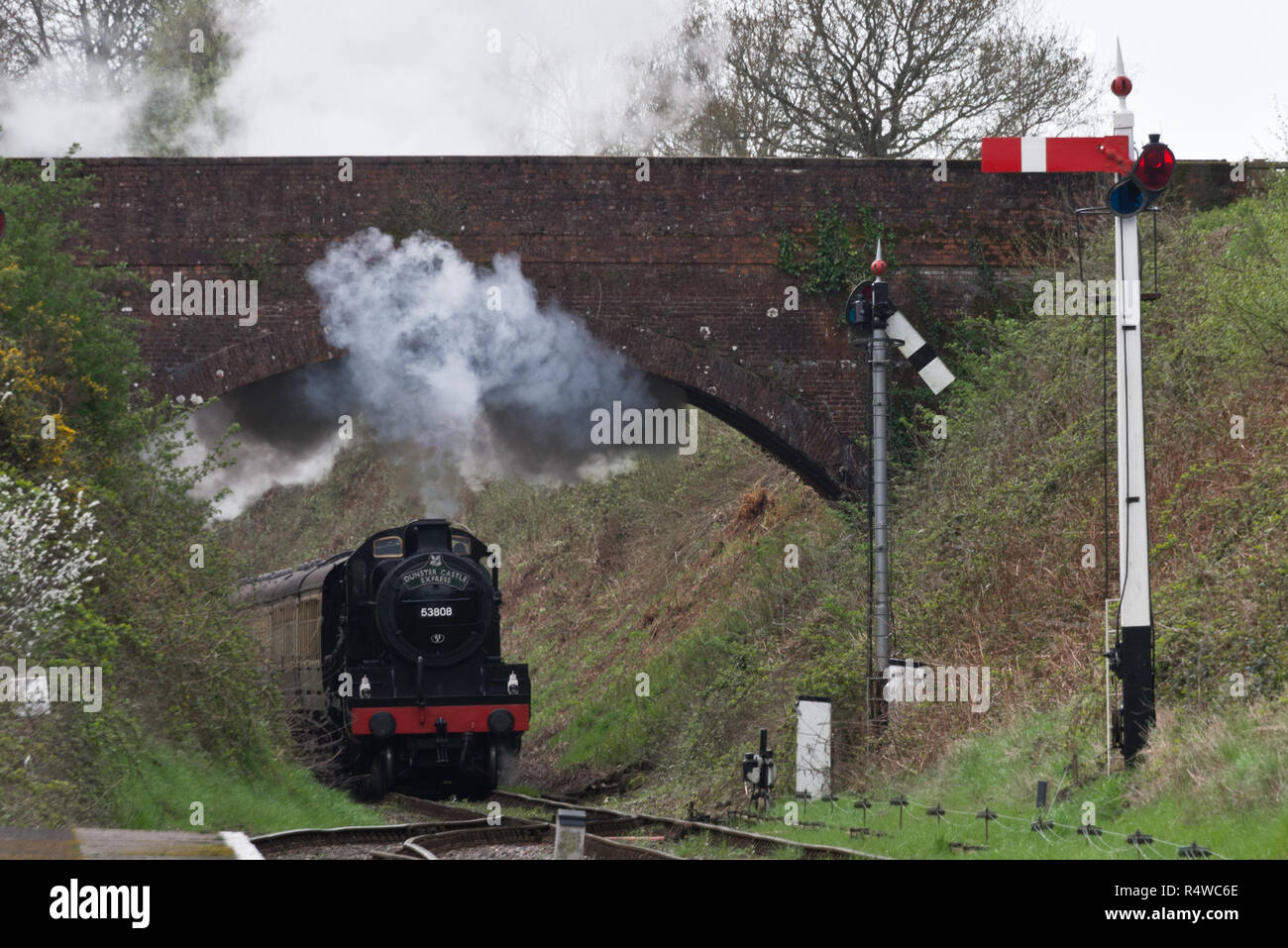 S&DJR 7F 2-8-0 steam engine 53808 pulling the Dunster Castle Express at ...