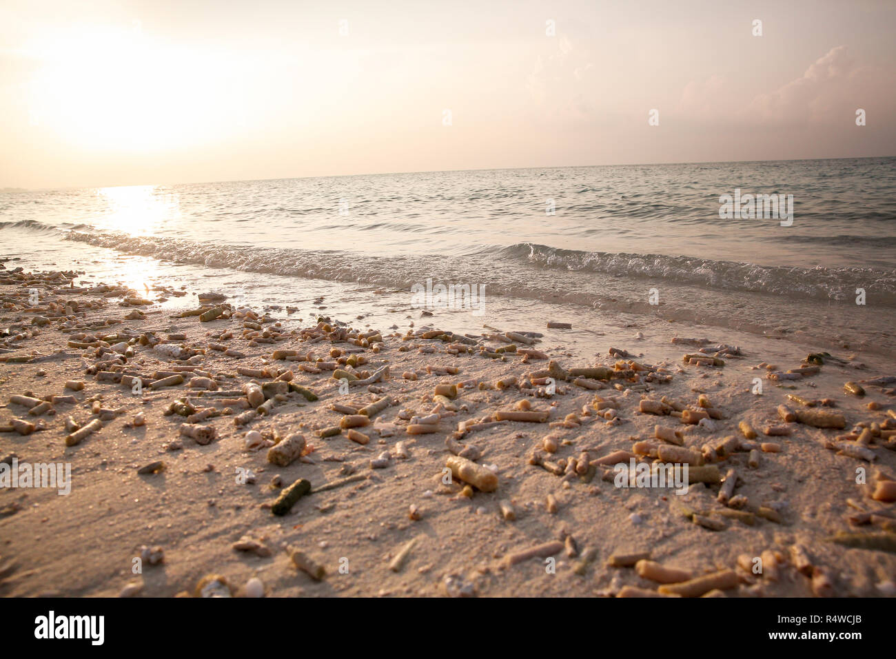 The maldives sea view Stock Photo - Alamy