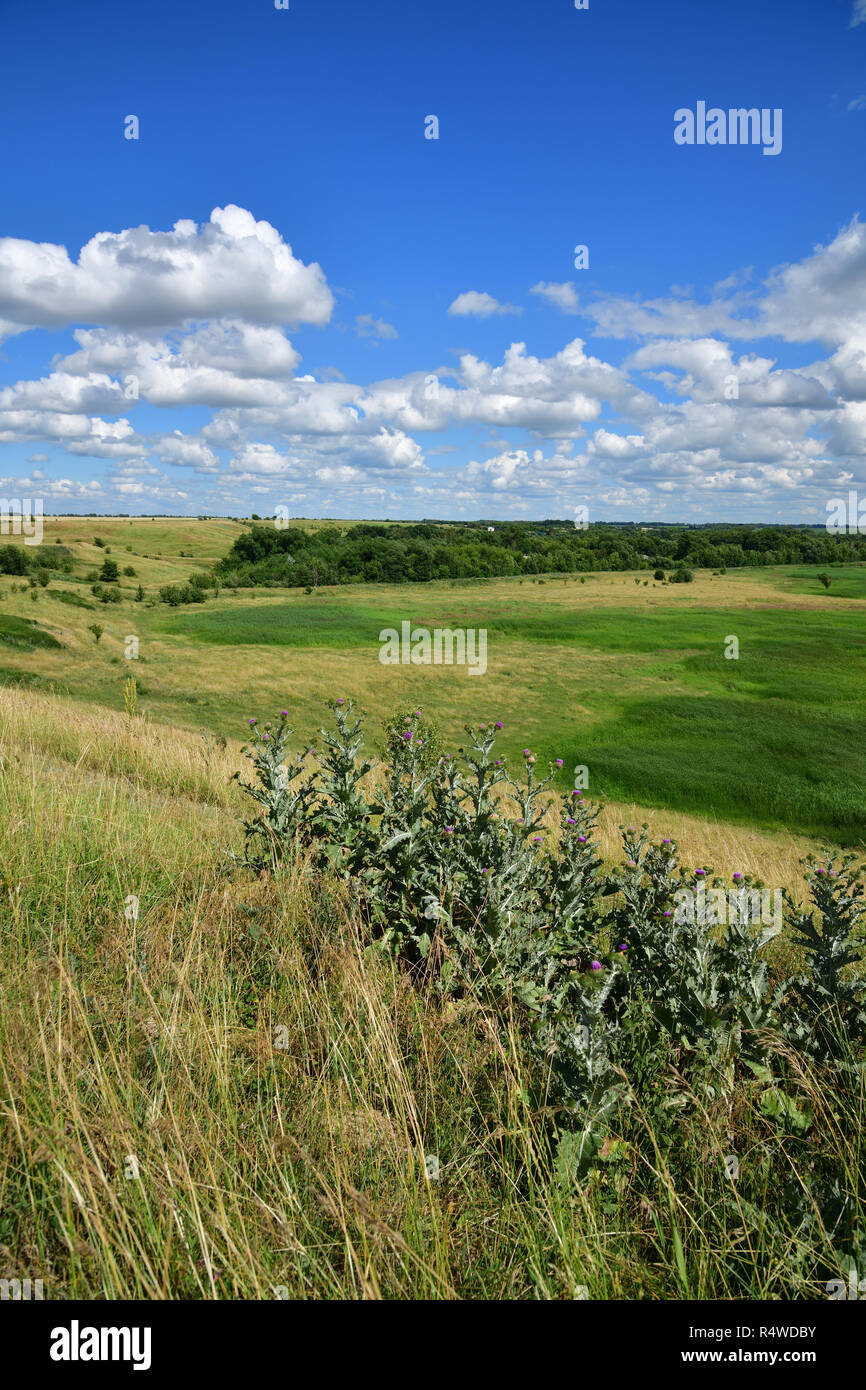 The Beautiful summer country landscape in steppe Stock Photo - Alamy