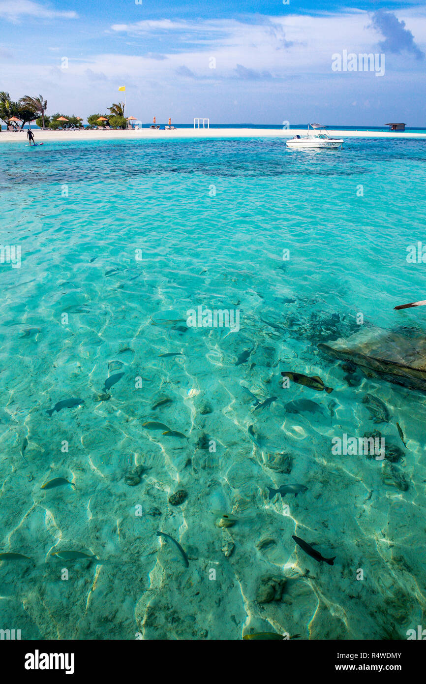 The maldives sea view Stock Photo - Alamy