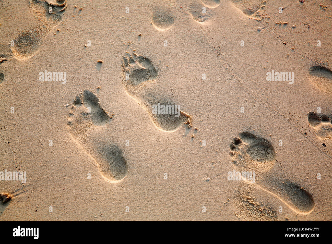 Physical footprint hi-res stock photography and images - Alamy