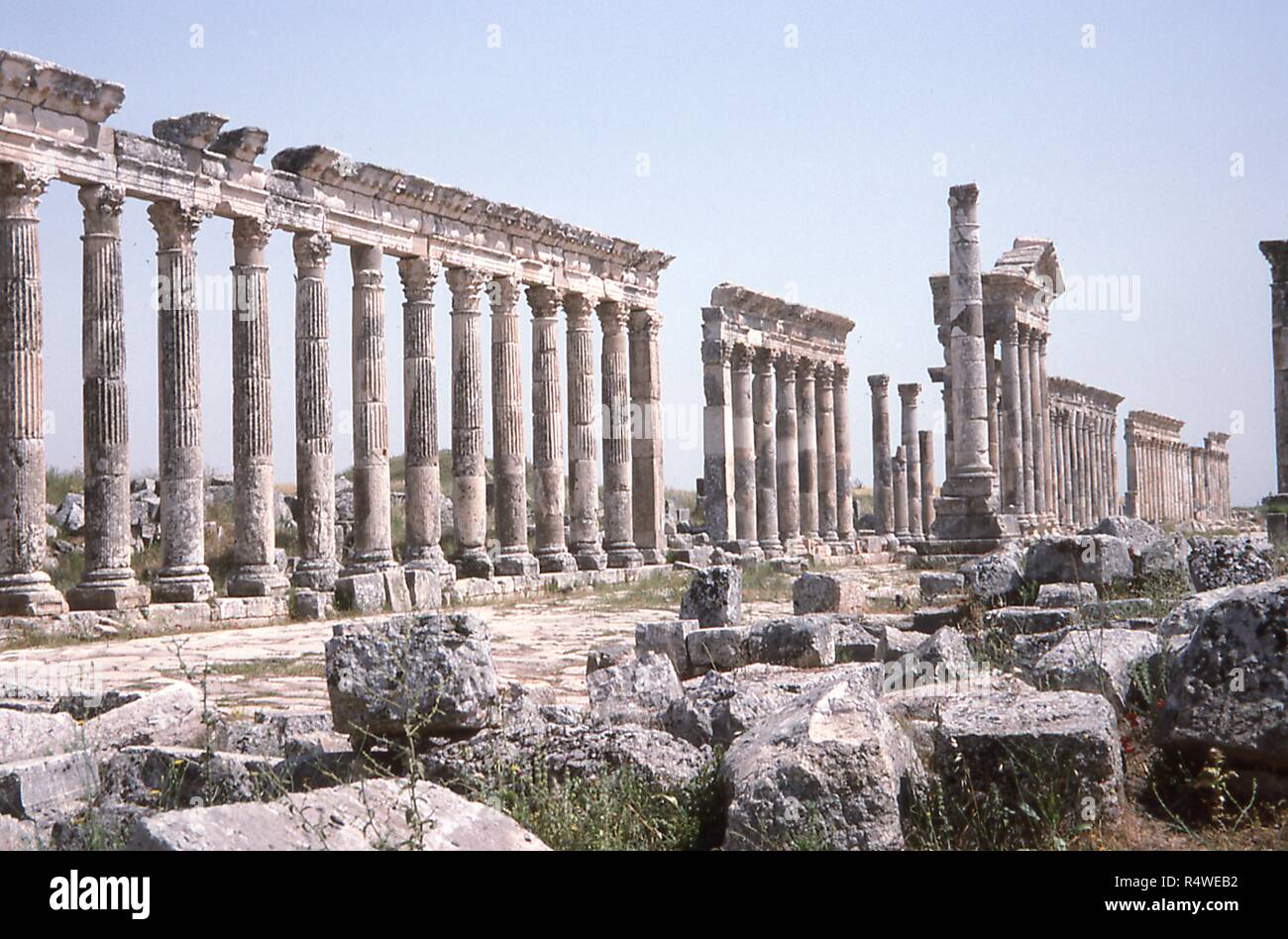 View of ancient columns along the Colonade near the ruins of the Temple ...