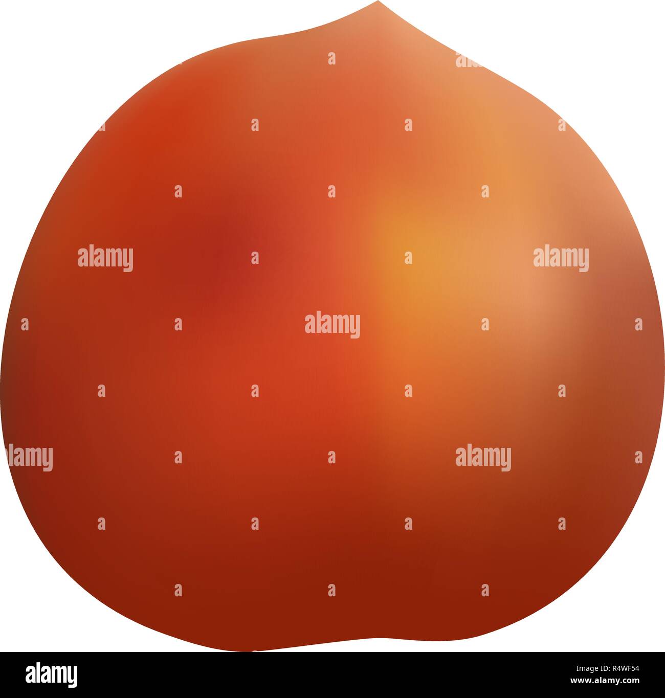 Peach mockup. Realistic illustration of peach vector mockup for web ...