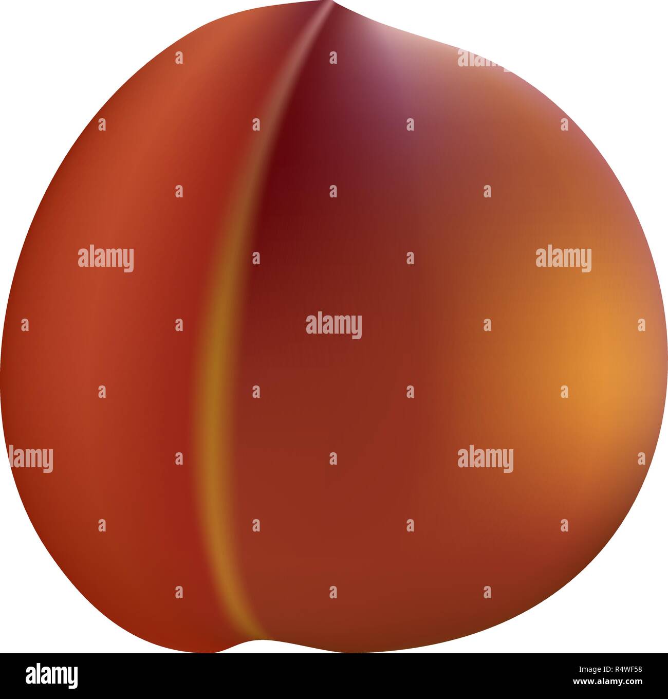 Fresh peach mockup. Realistic illustration of fresh peach vector mockup ...