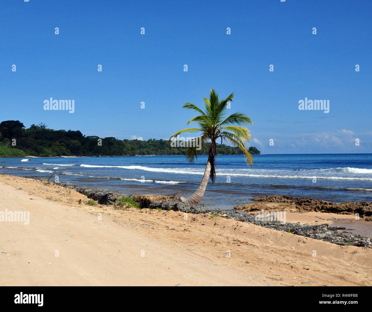 View wedding tree hi-res stock photography and images - Alamy