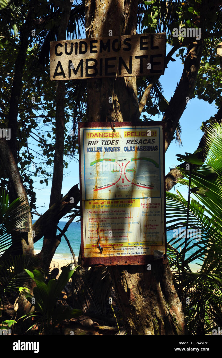 Citizens of the Environment Sign and Riptide Warning Sign on a tree ...