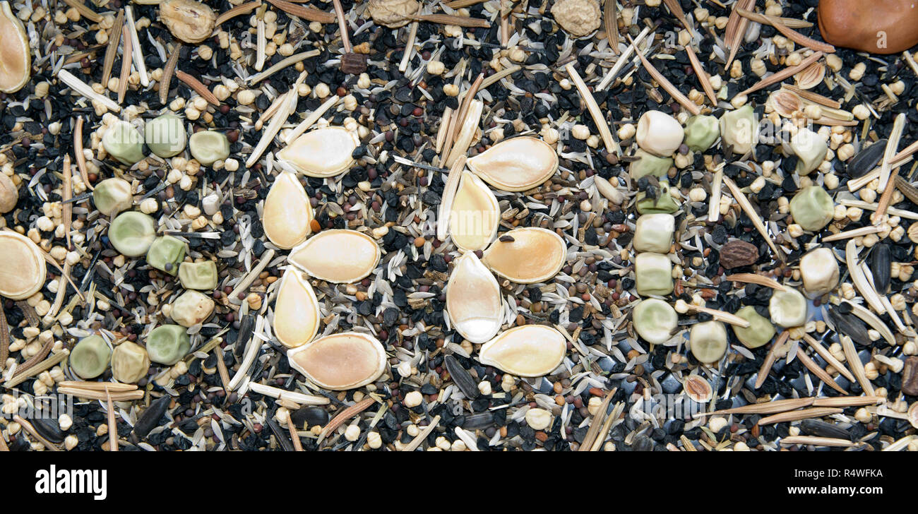 Mixed vegetable and flower seeds Stock Photo - Alamy