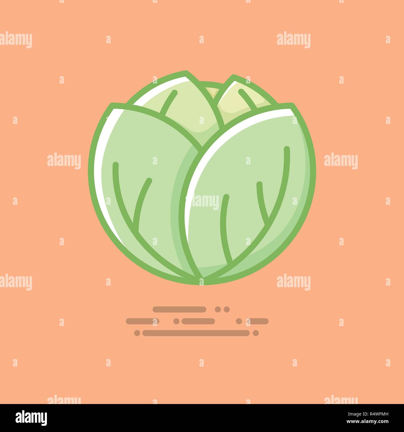 Cabbage color filled line icon. Healthy vegetable vector symbol Stock ...