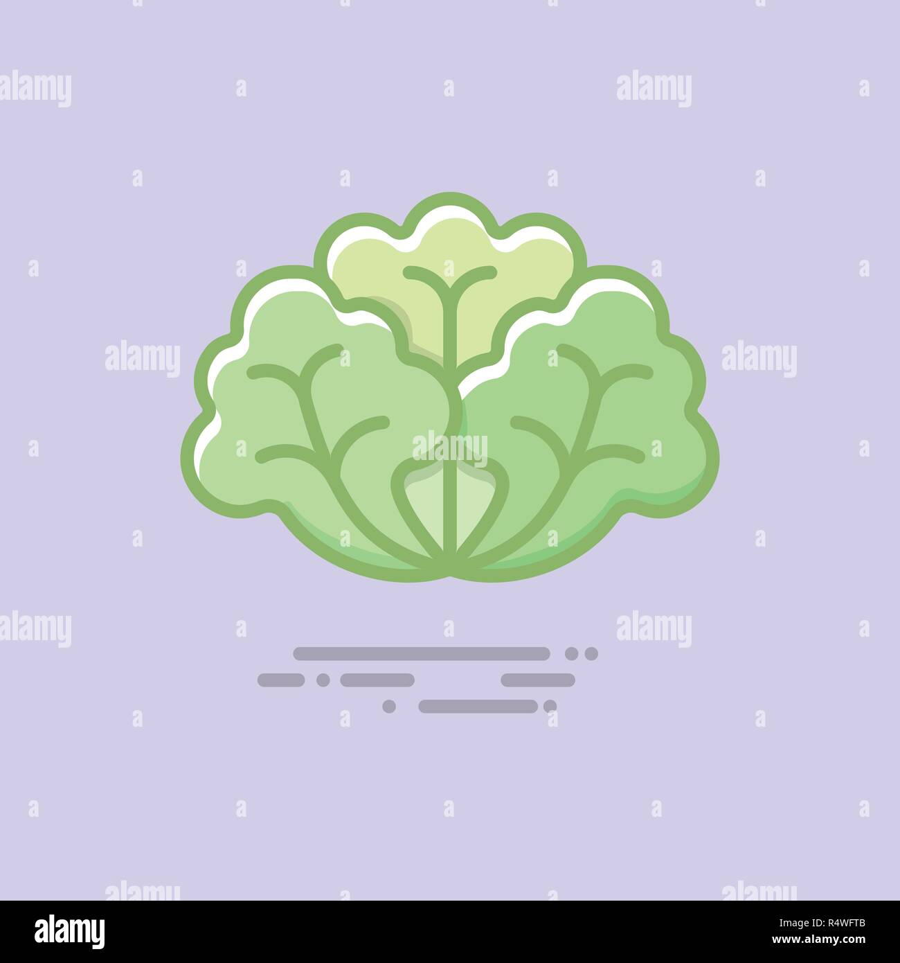 Lettuce vector vectors hi-res stock photography and images - Alamy