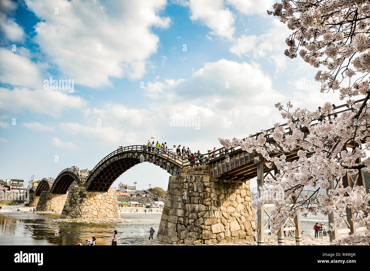 Cherry-blossoms and Kintai bridge in Iwakuni, Yamaguchi, Japan Stock ...