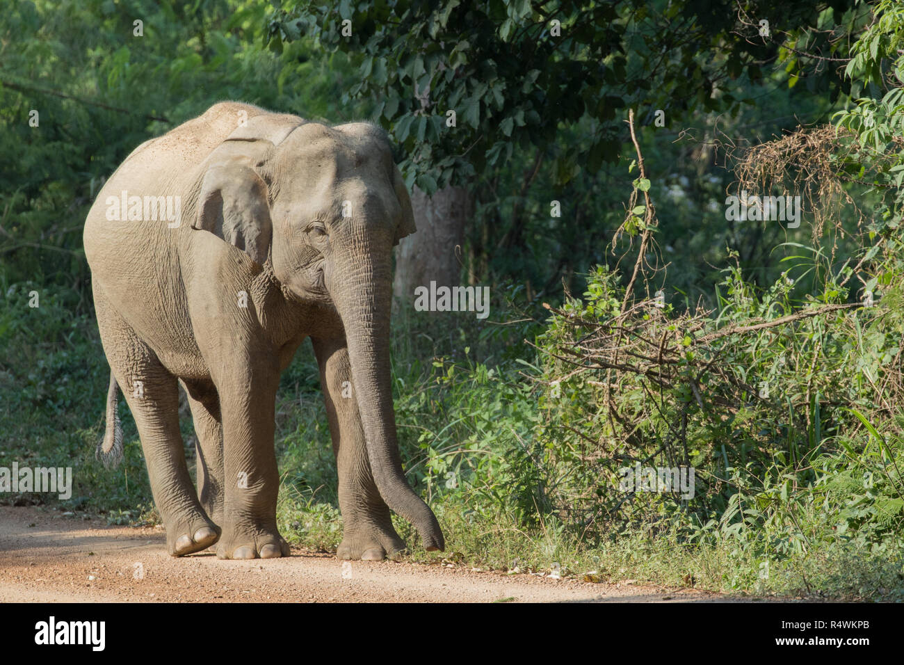 Self aware hi-res stock photography and images - Alamy Self aware hi-res stock photography and images - Alamy