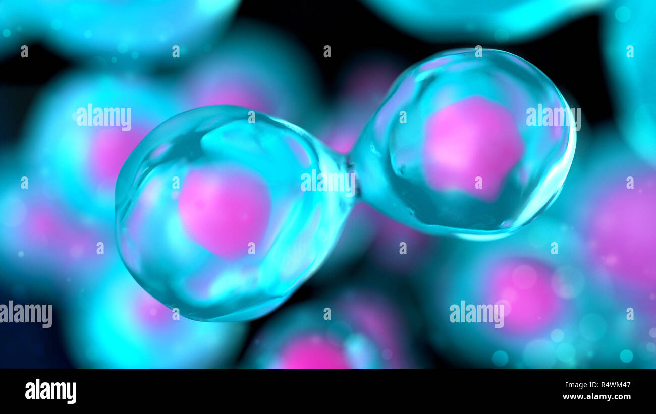 Cells embryo. Mitosis under microscope. Biology background. 3d render ...