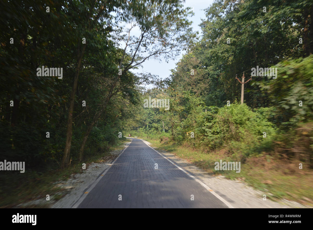 Buxa Tiger Reserve of Buxa National Park in Jalpaiguri district of West ...