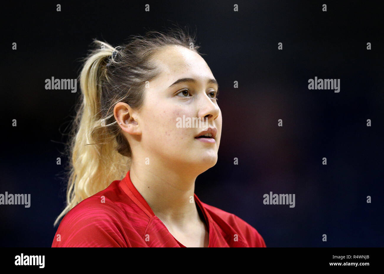 England Roses' George Fisher Stock Photo - Alamy