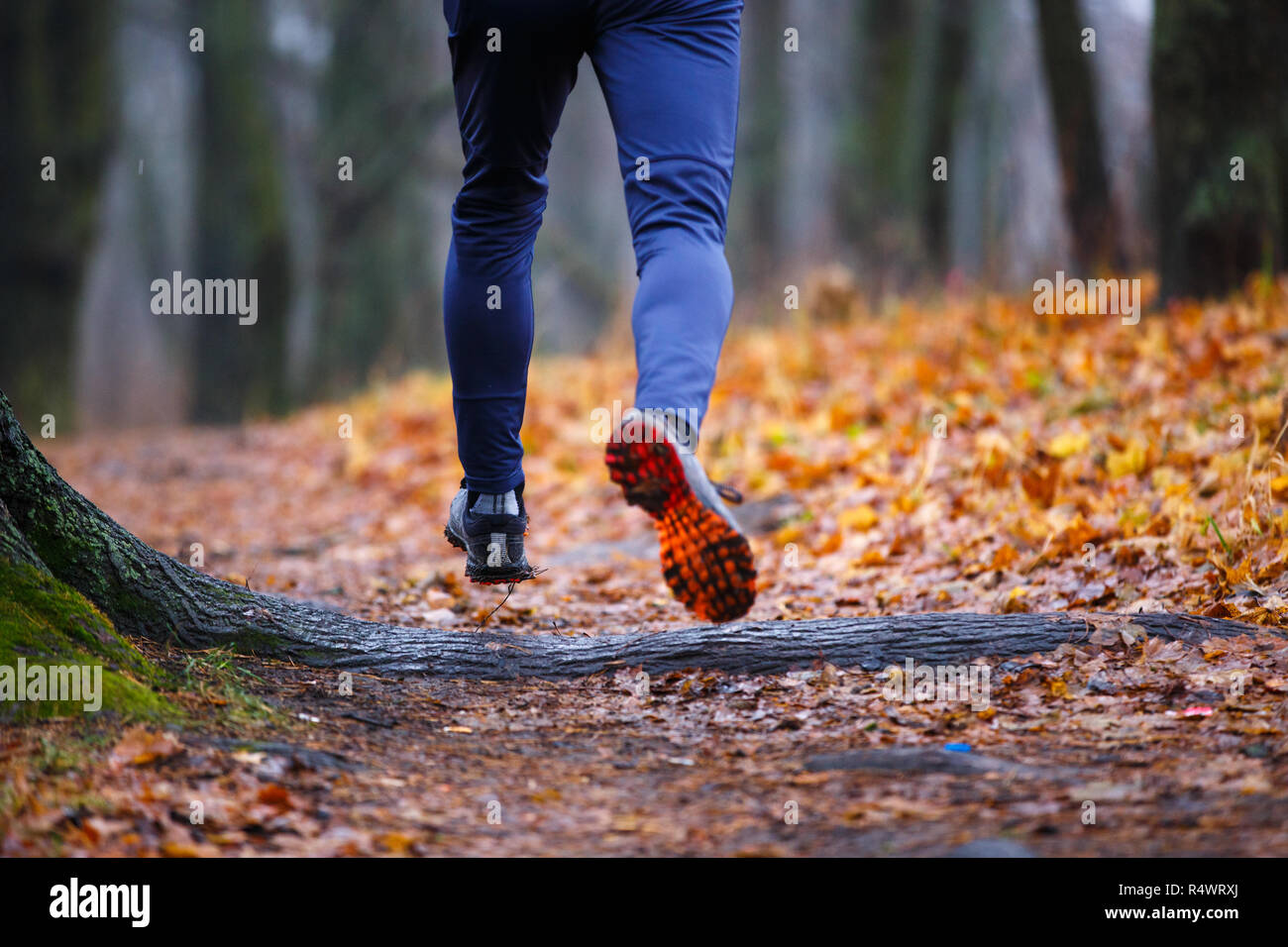 Autumn trail running background. Man running in fall park Stock Photo ...