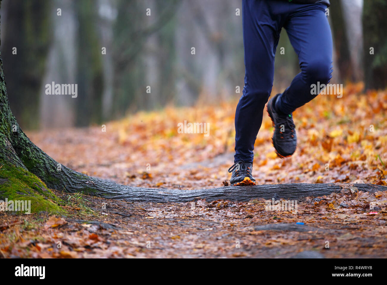 Autumn trail running background. Man running in fall park Stock Photo ...