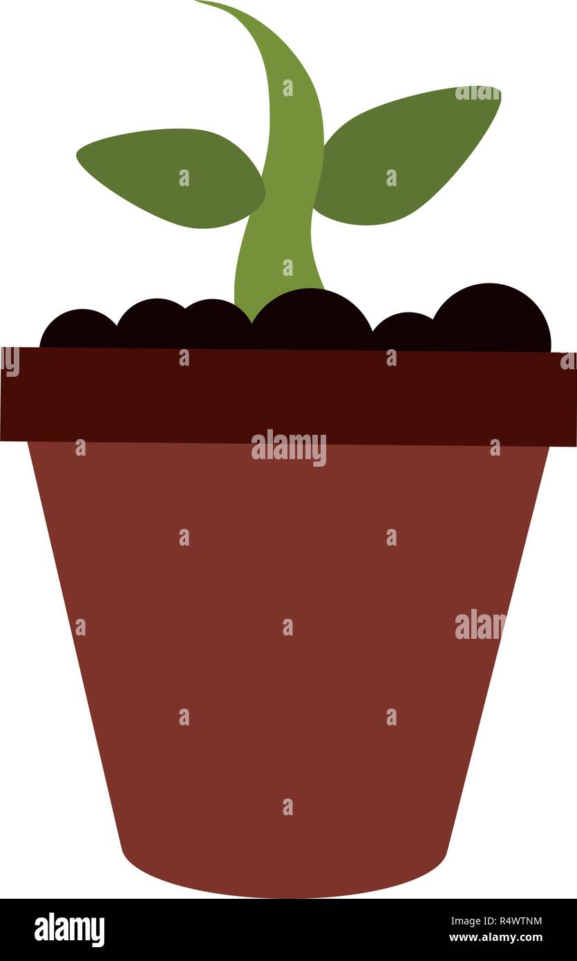 Plant pot symbol black and white Stock Vector Image & Art - Alamy