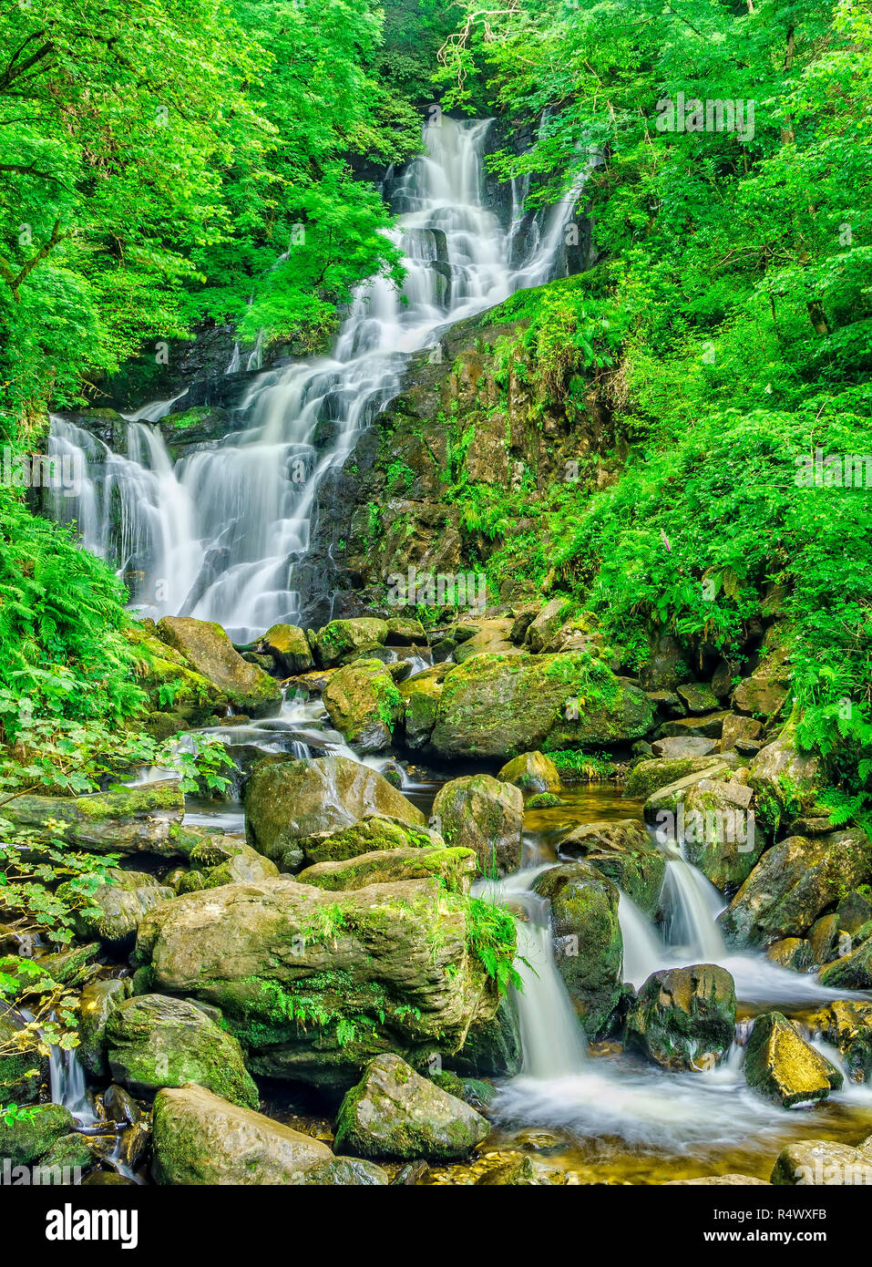 Tor Waterfall summer in Ireland Stock Photo - Alamy