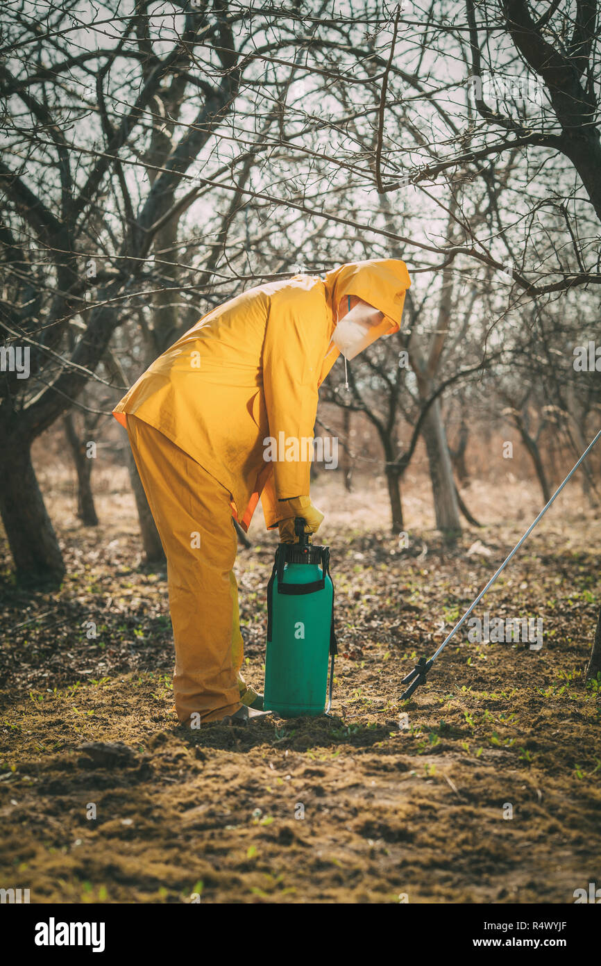 Man spraying plant in orchard hi-res stock photography and images - Alamy