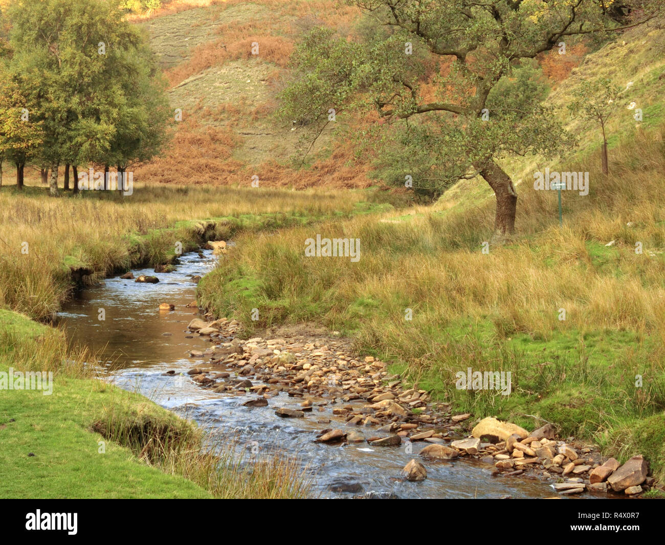 River Alport in Alport Dale, Peak District National Park, Derbyshire ...