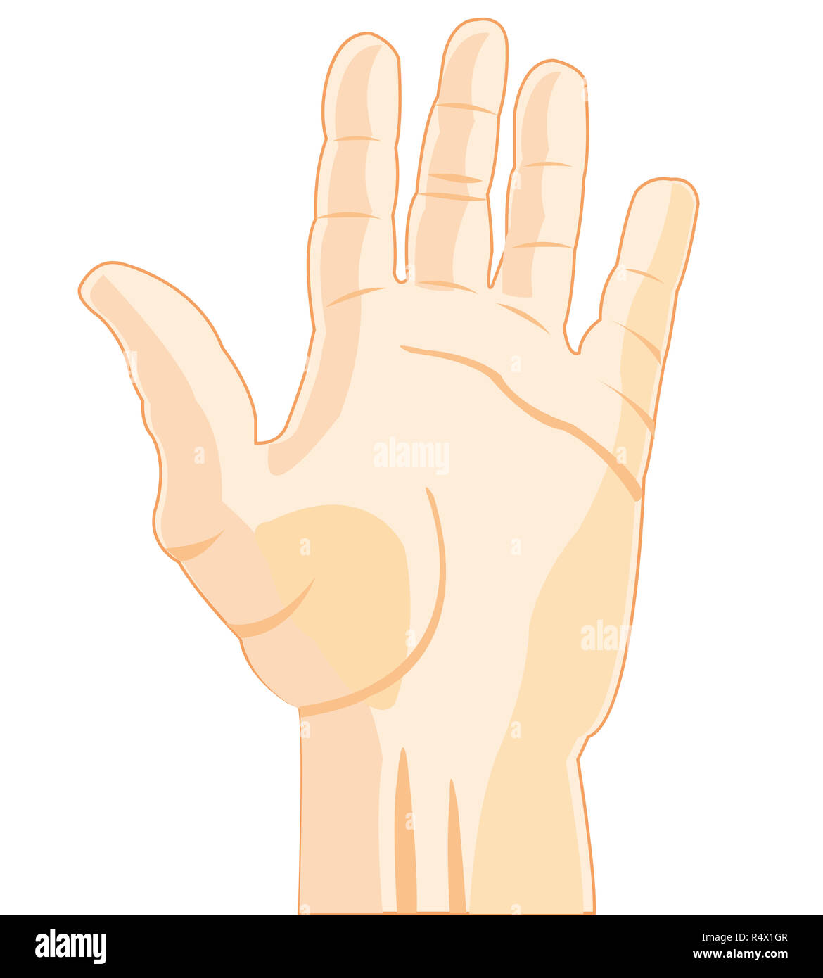 Palm of the person Stock Photo - Alamy