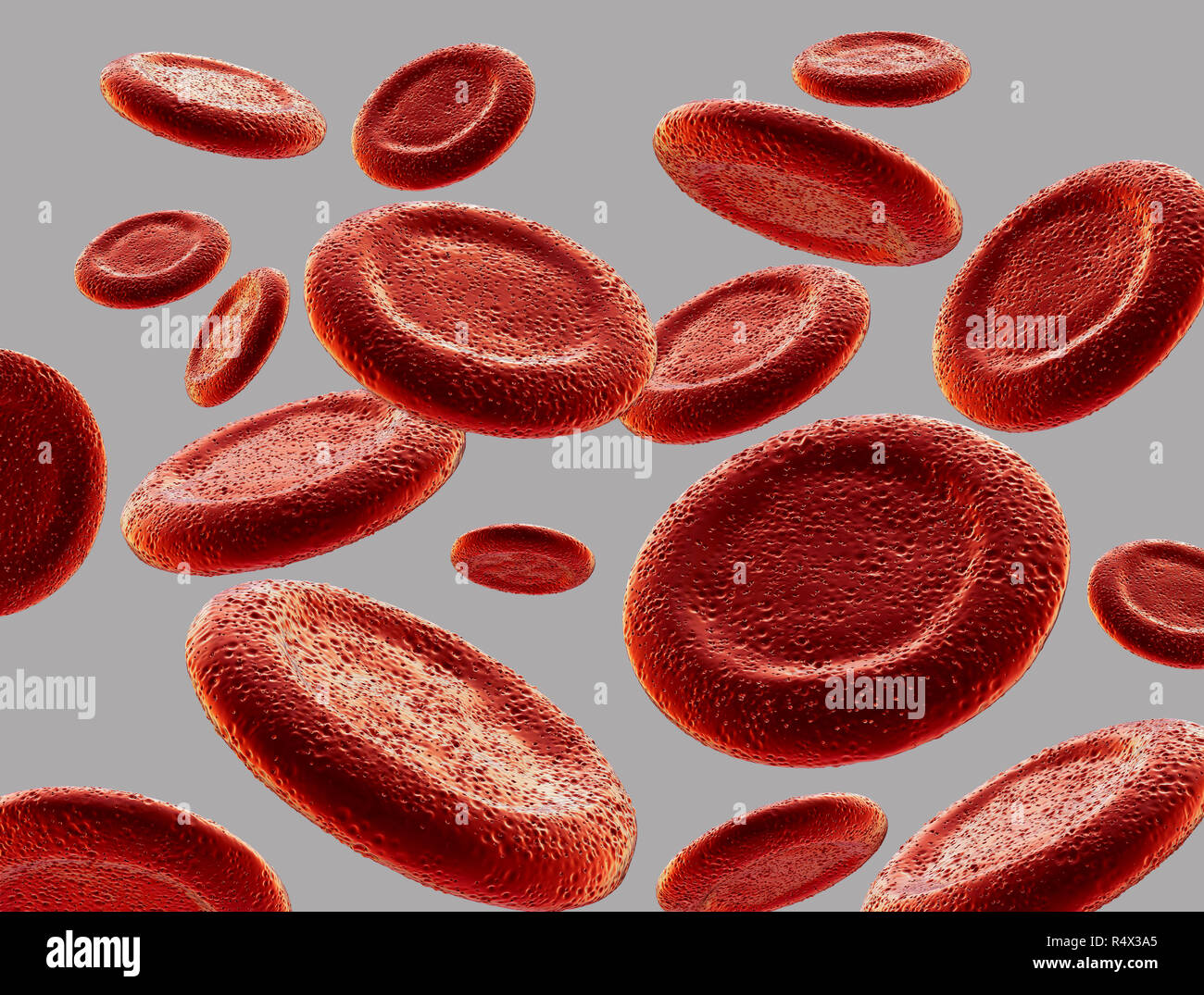 Illustrations human blood, red blood cells,erythrocytes Stock Photo - Alamy