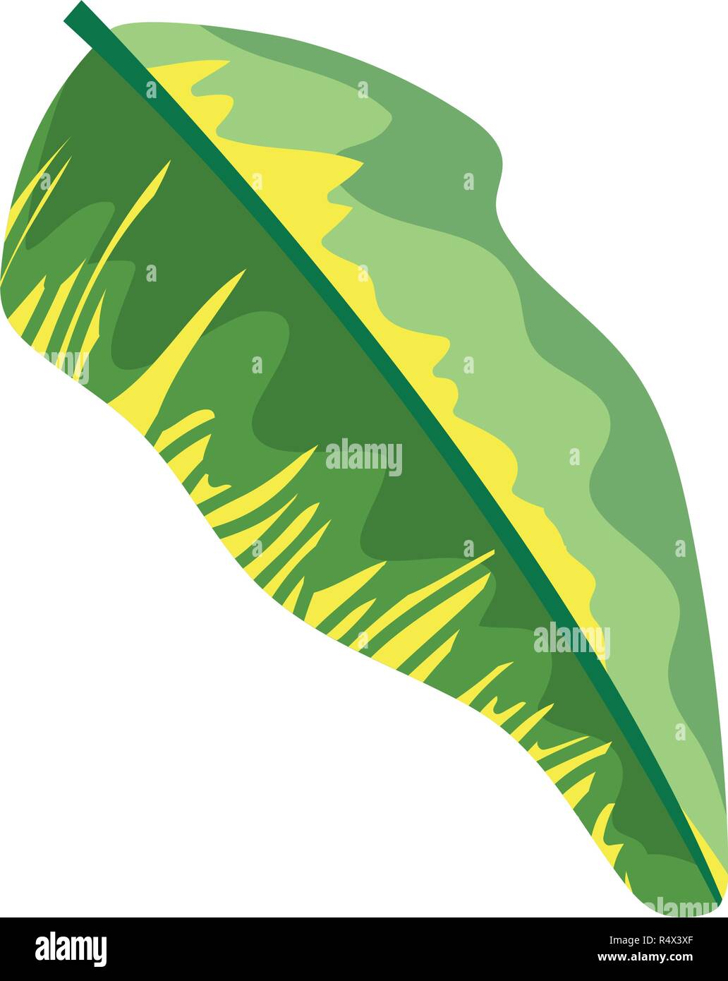 tree leaf cartoon vector illustration graphic design Stock Vector Image ...