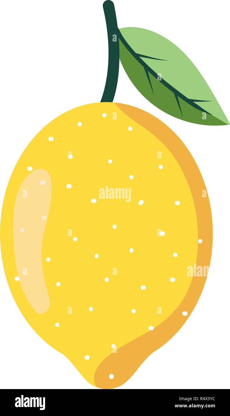 delicious fruit grapefruit cartoon vector illustration graphic design ...