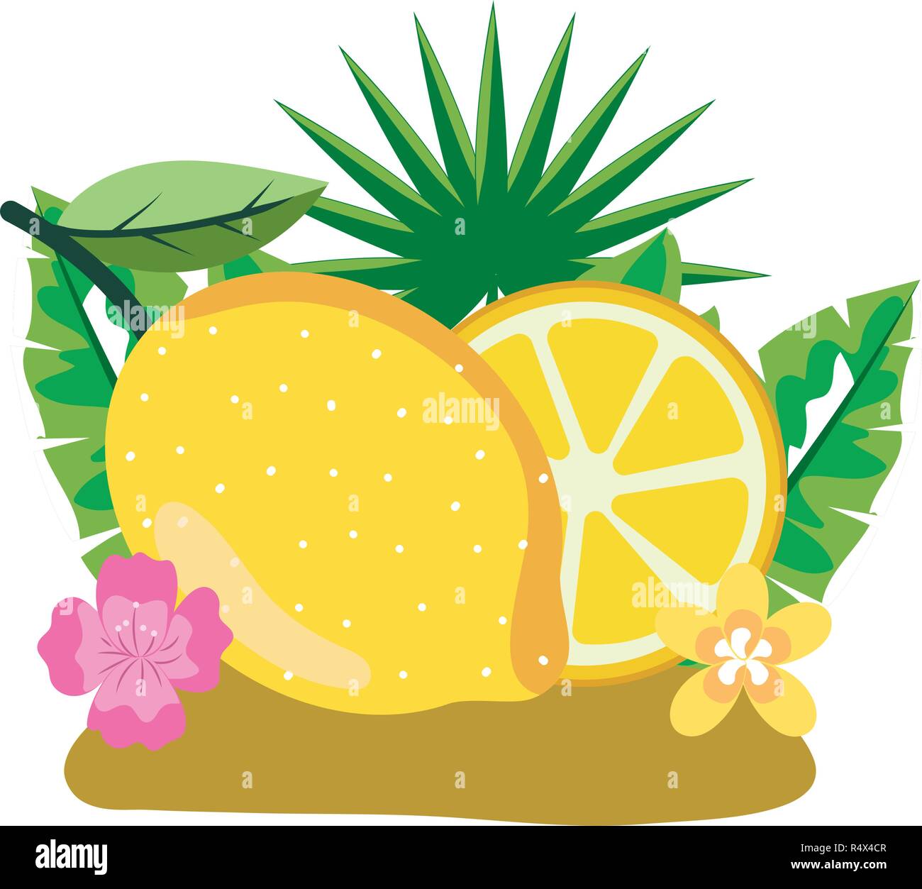 delicious fruit grapefruit cartoon vector illustration graphic design ...