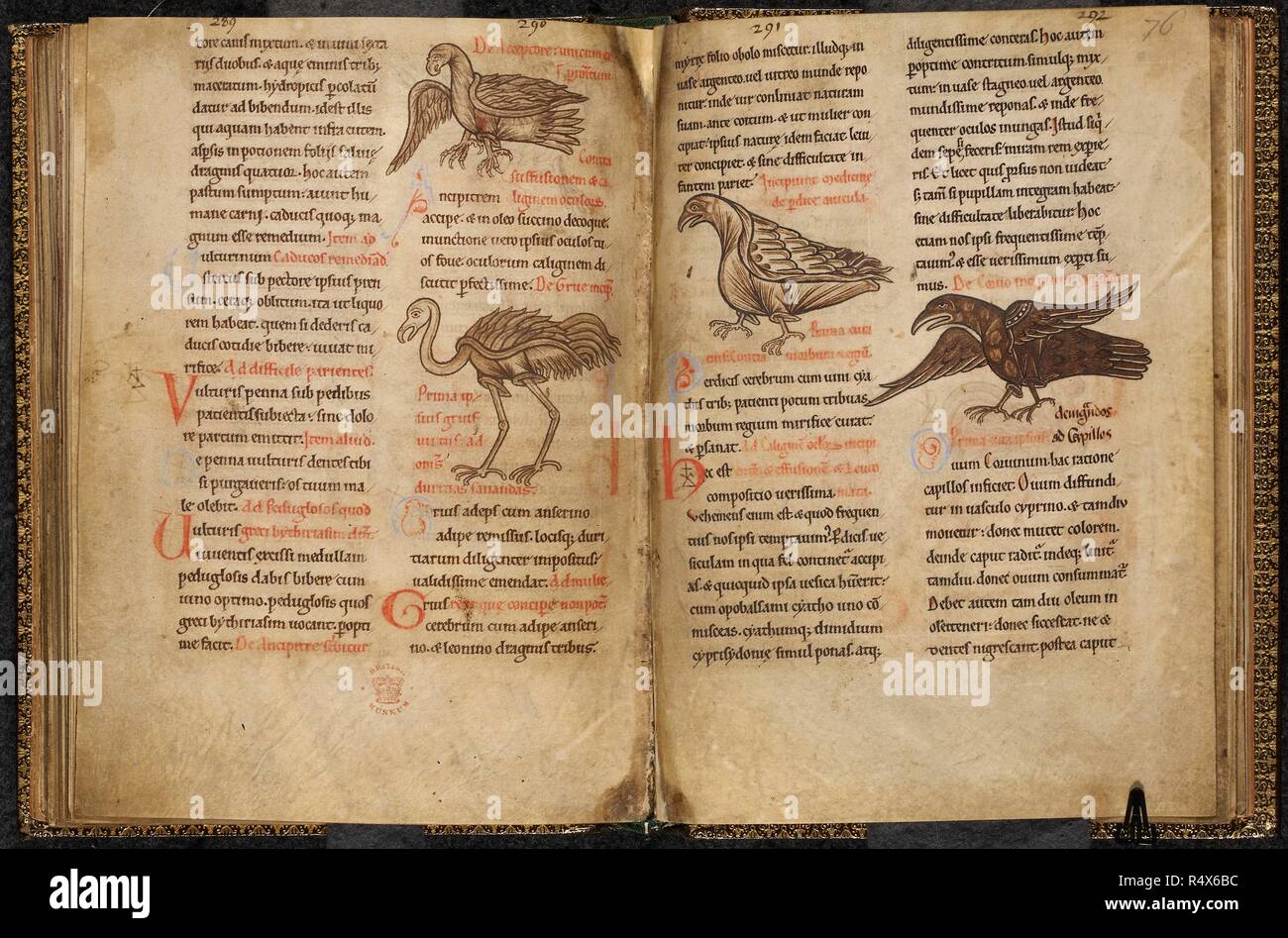 Page of illuminated manuscript with miniay=tures of four different ...