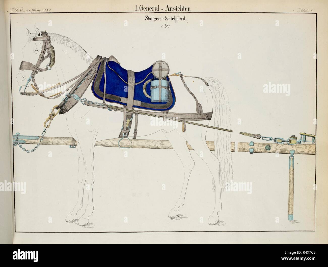 19th century animal drawings hi-res stock photography and images - Alamy