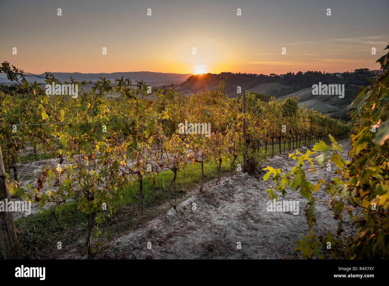 Peccioli, Pisa, Tuscany - Countryside landscape in the valley of ...