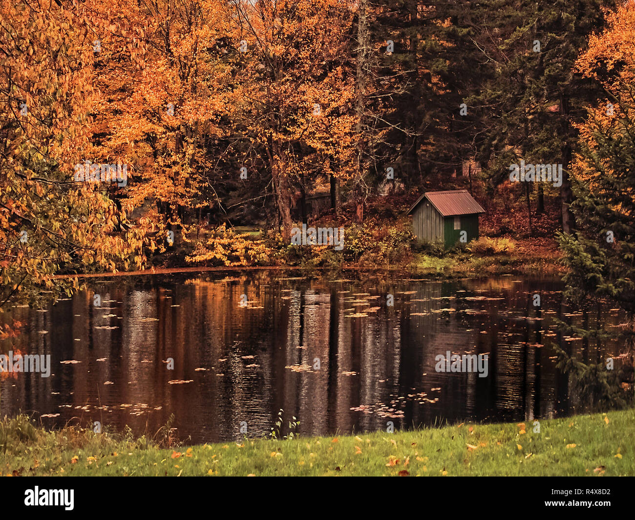 Shack by the pond hi-res stock photography and images - Alamy